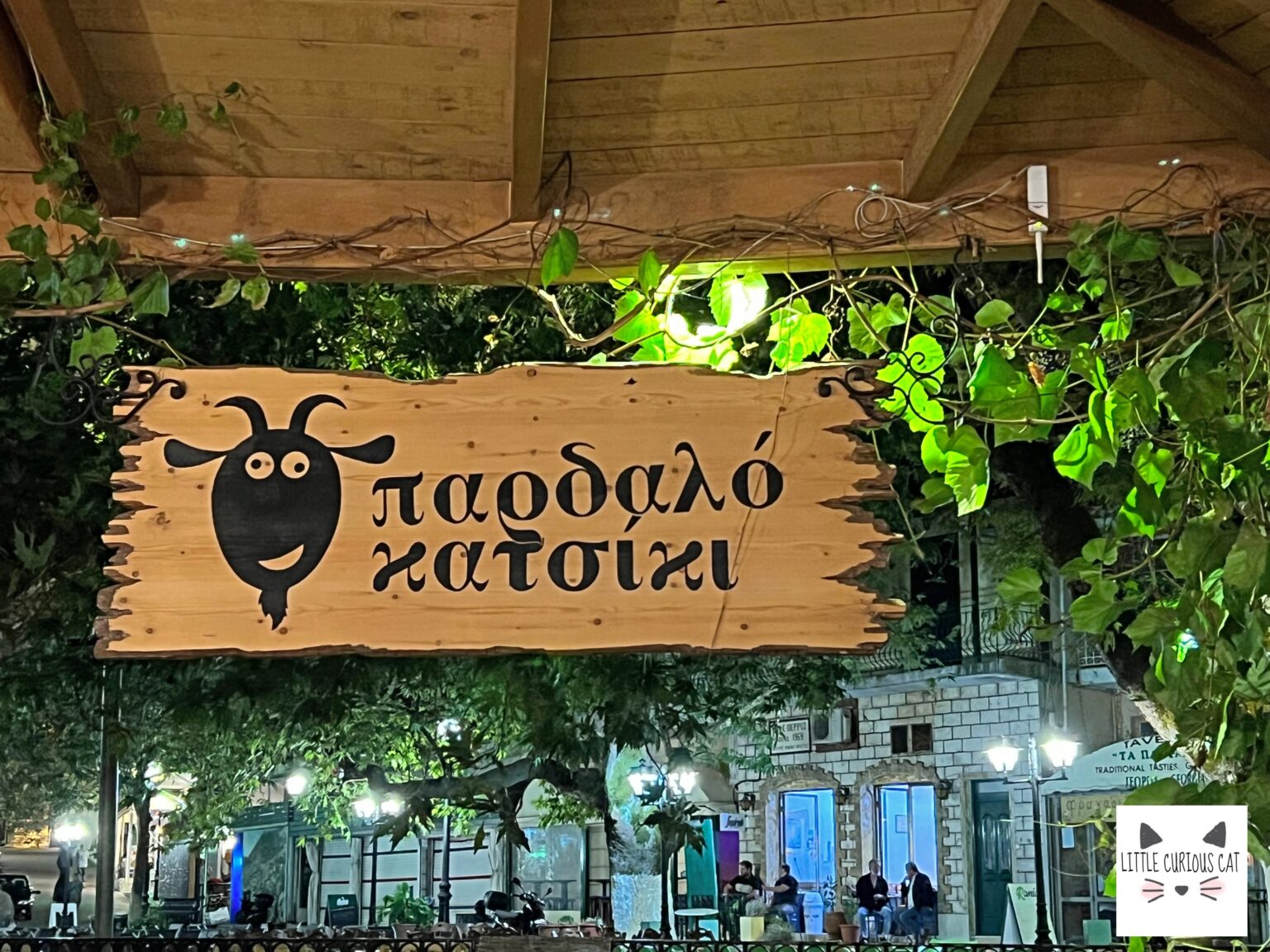 ΤΑΒΕΡΝΑ “ΤΟ ΠΑΡΔΑΛΟ ΚΑΤΣΙΚΙ” ΣΤΗ ΛΕΥΚΑΔΑ – Little Curious Cat
